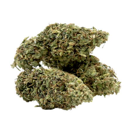 Infusion Fleurs CBD - Tropical kush THCX - Mon-Cbd-Francais.com